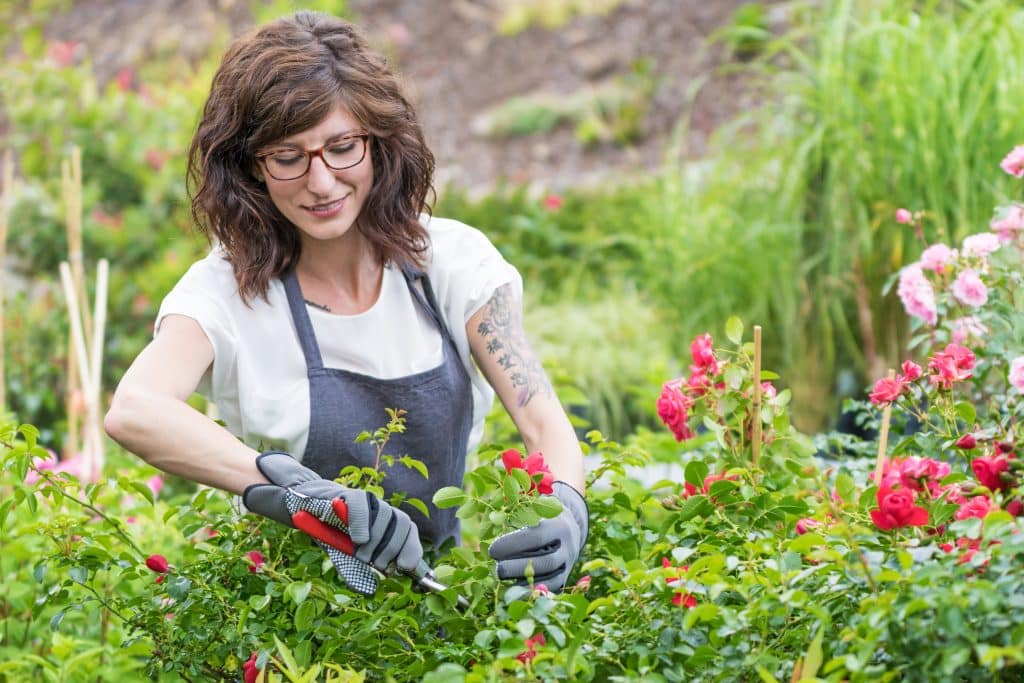AHC20422 Certificate II in Horticulture - Look Now Training